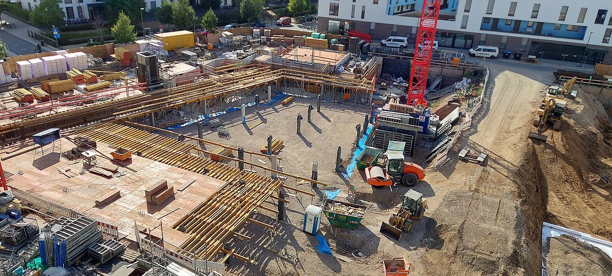 ELF FREUNDE machen gute Fortschritte