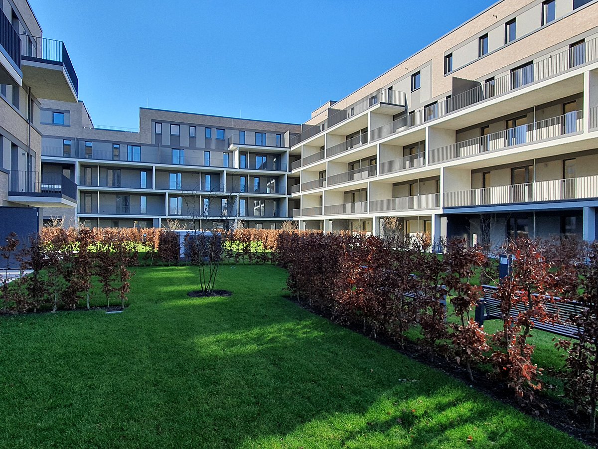 LOOP_SIDE vor Fertigstellung